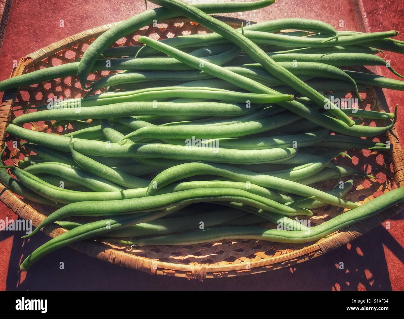 Freshly picked green beans in a basket Stock Photo - Alamy