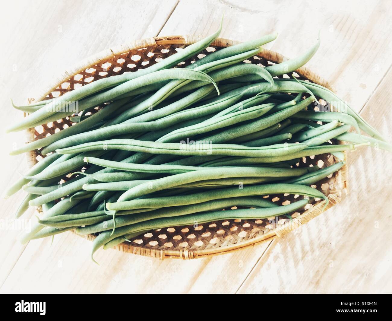 Phaseolus vulgaris, also known as green bean or common bean Stock Photo ...