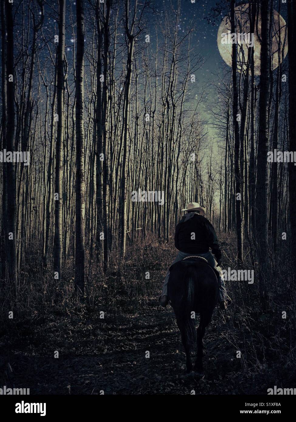 Horseback riding in the moonlight. Cowboy trail ride Stock Photo - Alamy