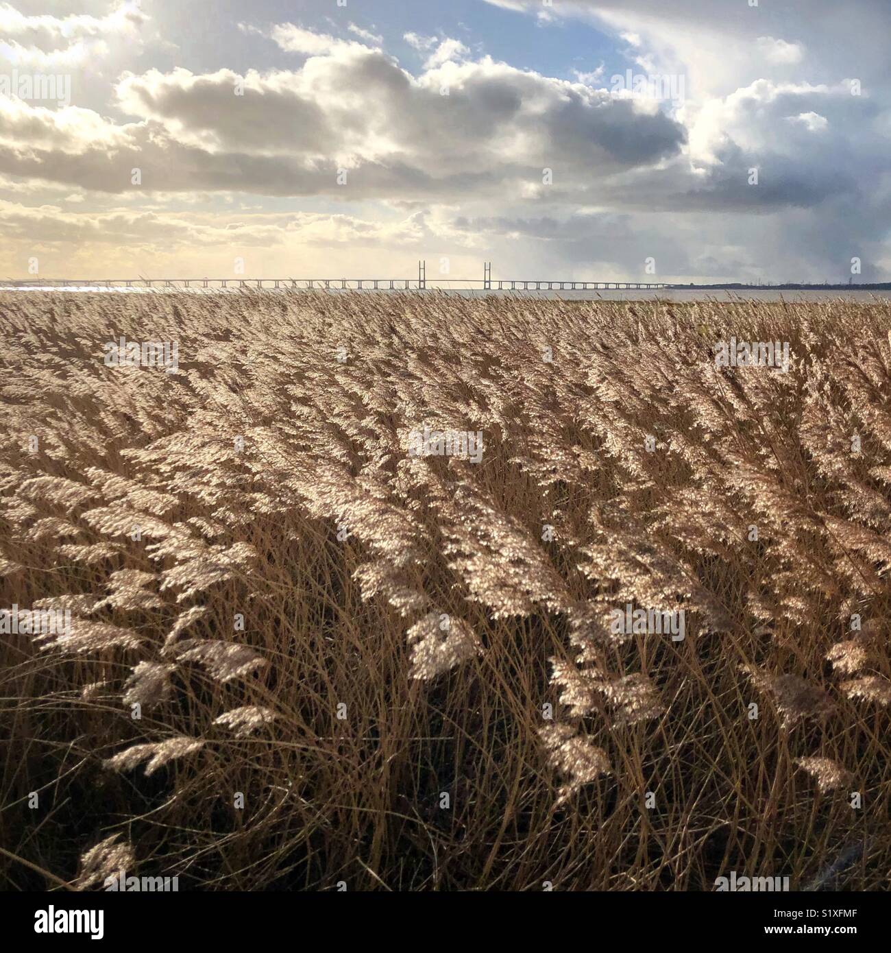 Severn river bridge hi-res stock photography and images - Alamy