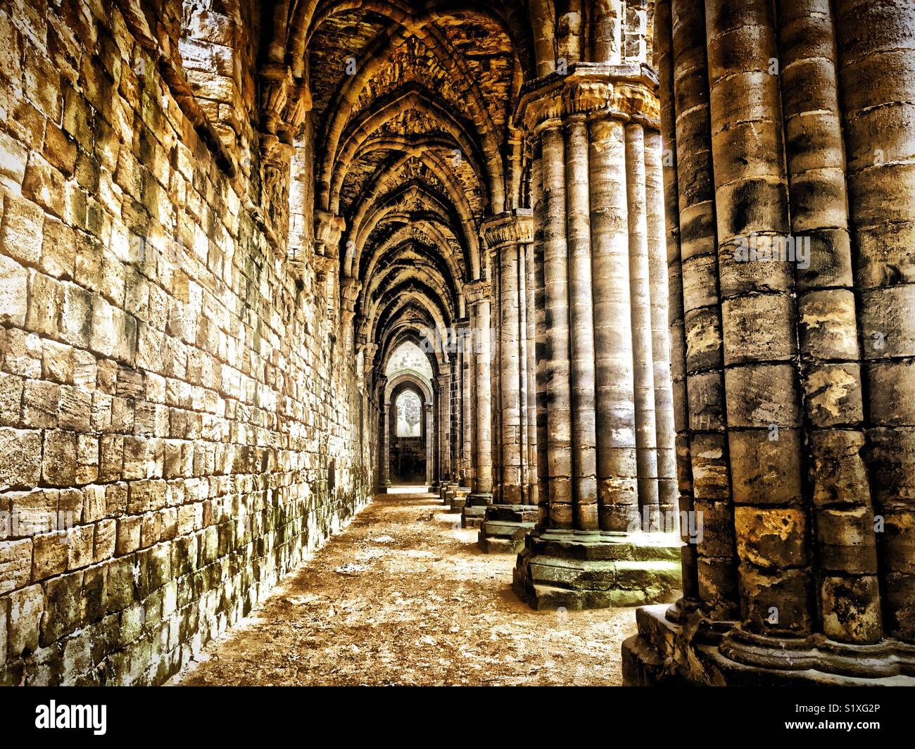 Kirkstall abbey in leeds hi-res stock photography and images - Alamy