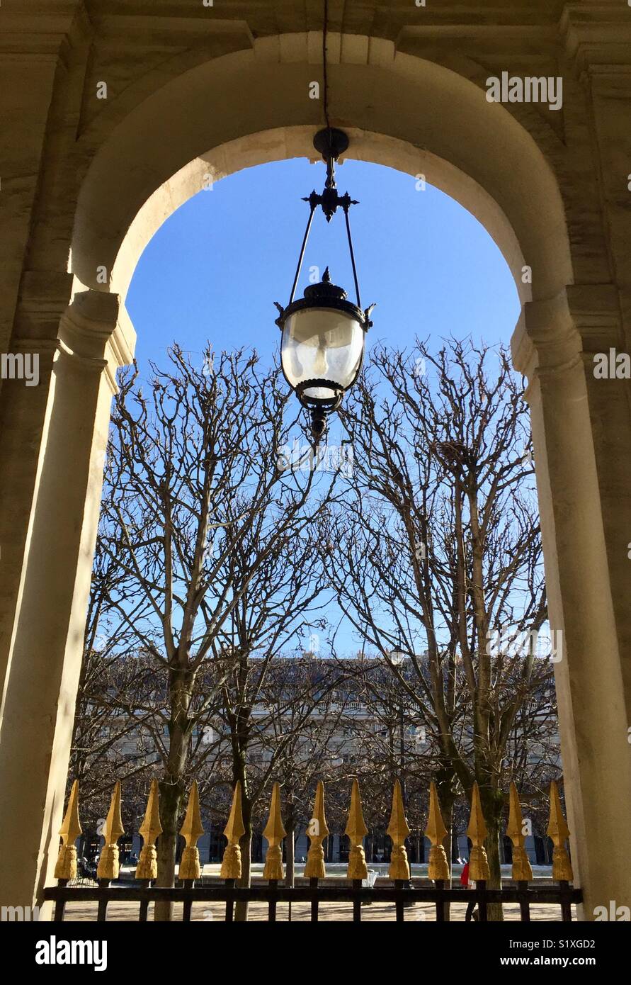 Pleached trees hi-res stock photography and images - Alamy