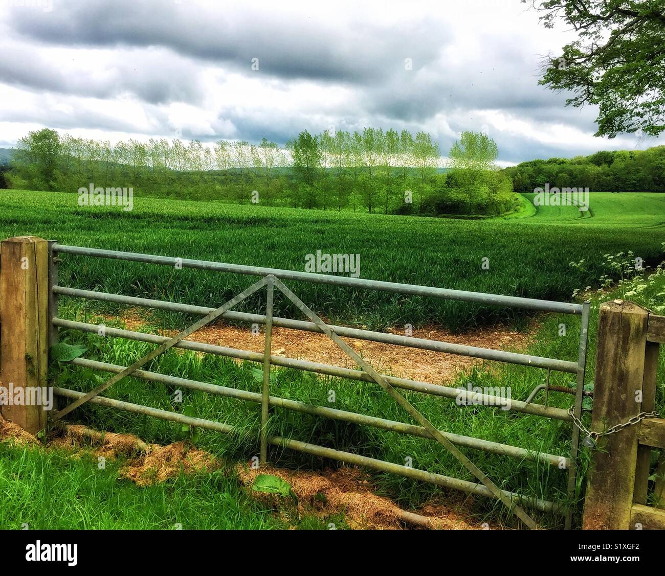 Green Lush Country Gate Scene Stock Photo - Alamy