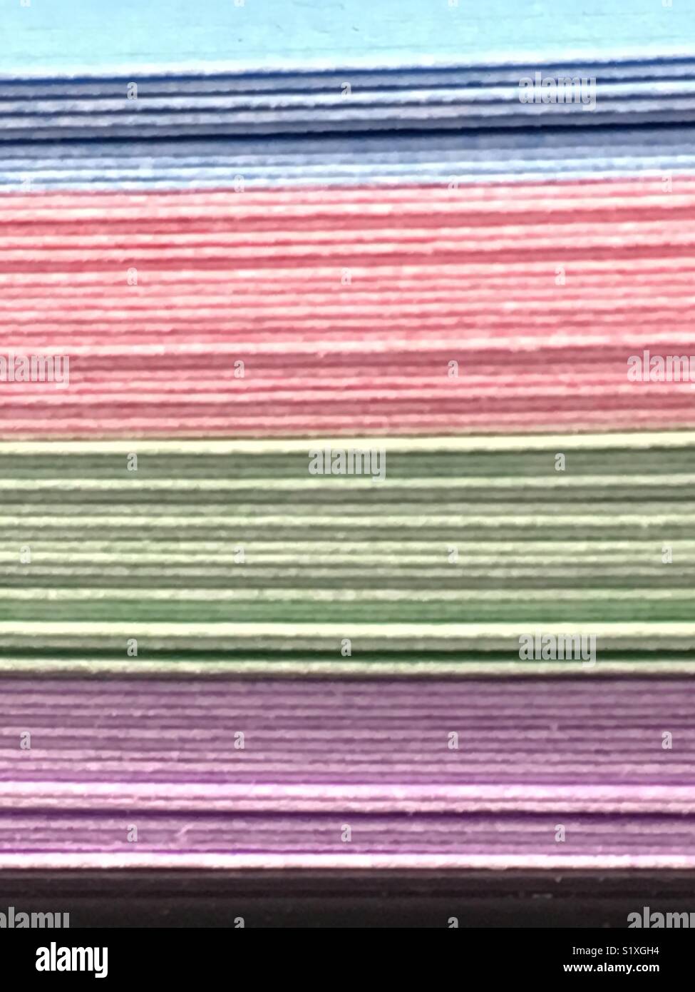 Cardstock hi-res stock photography and images - Alamy