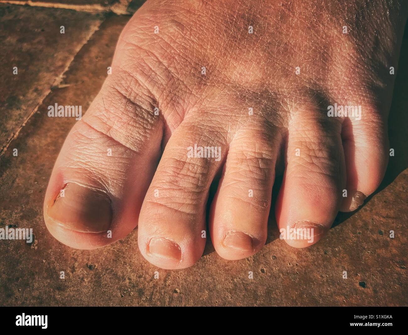 Human foot, barefoot on a terracotta tiled floor Stock Photo - Alamy
