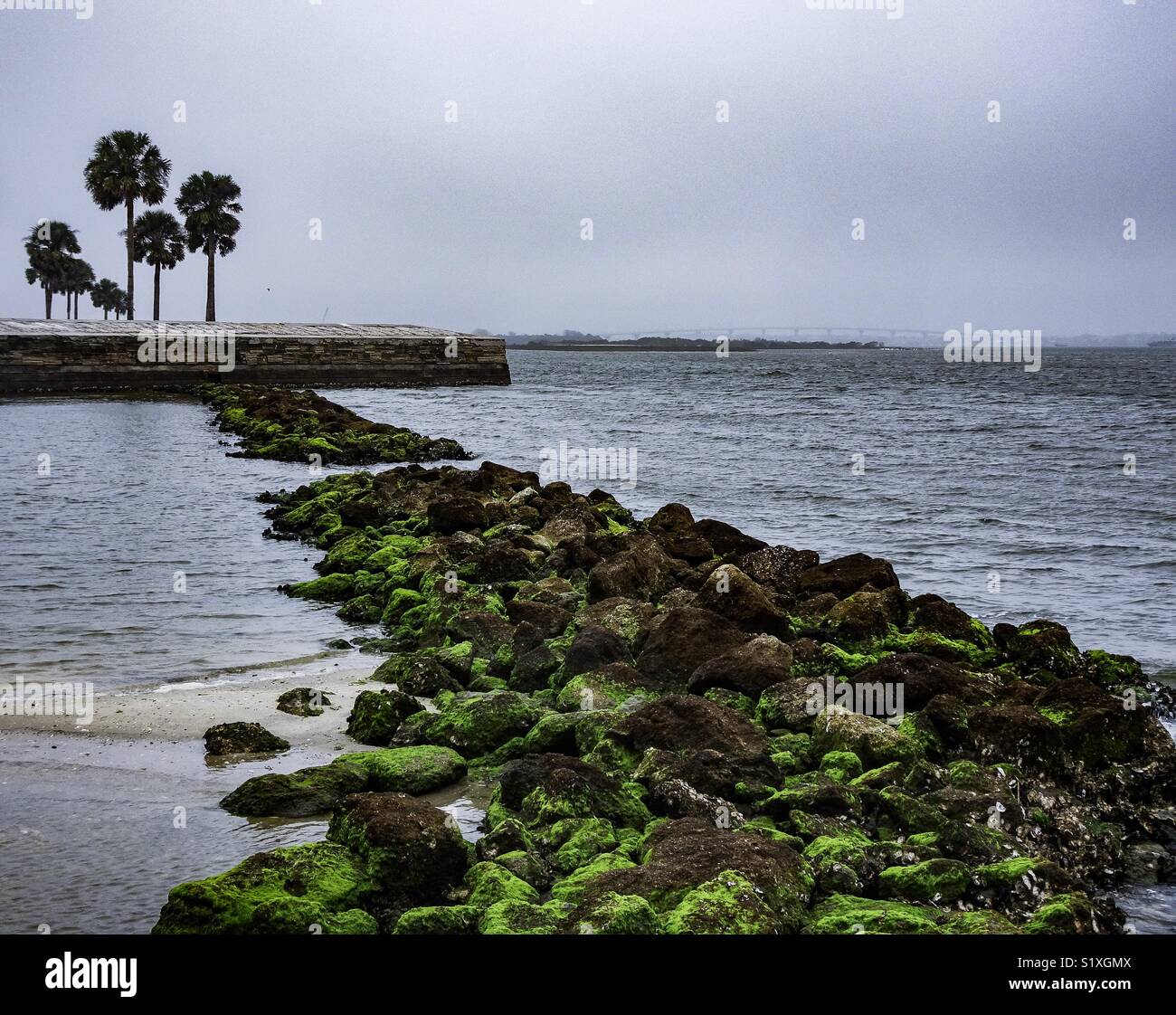 Ocean structure hi-res stock photography and images - Alamy