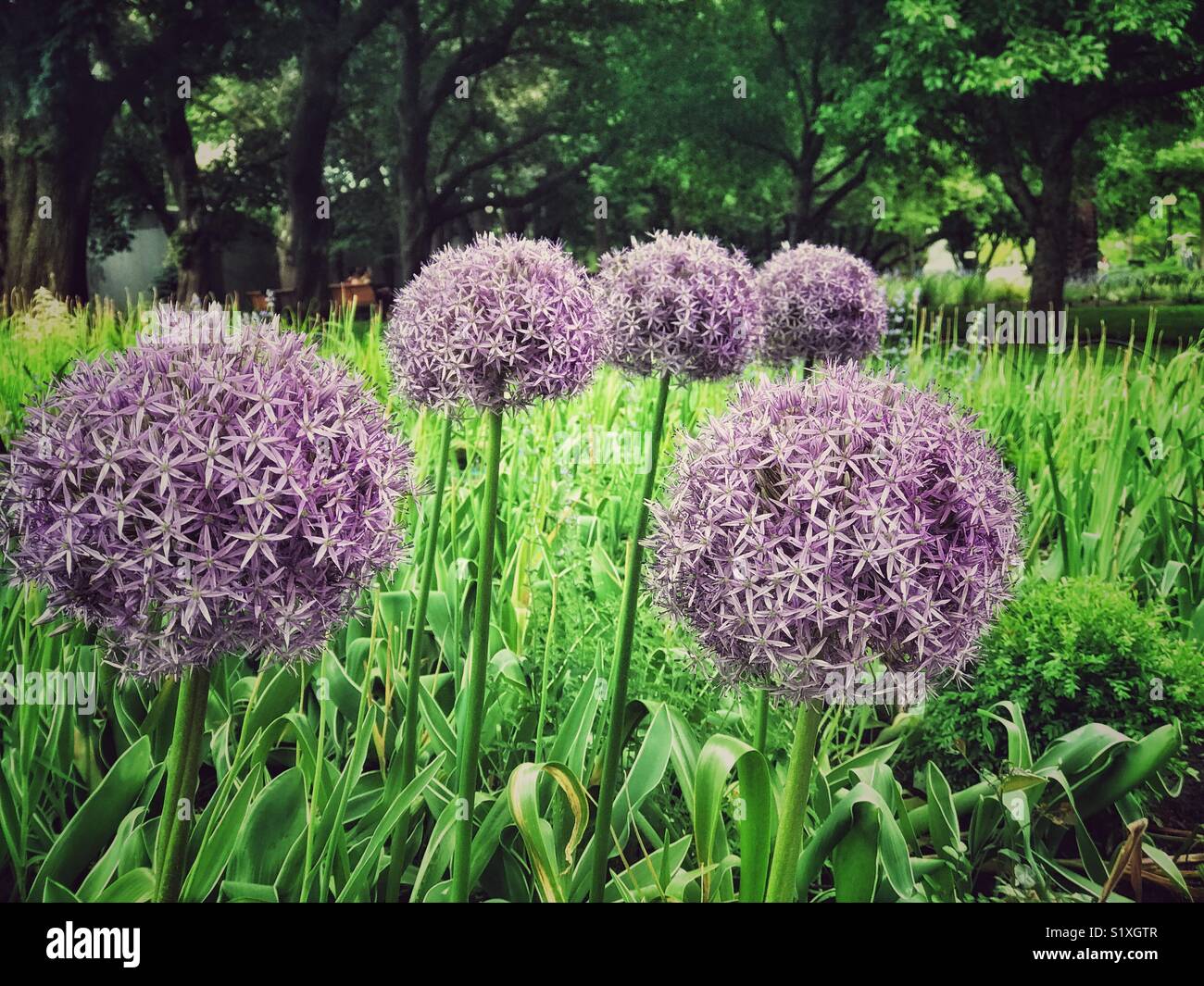 Soft spring hi-res stock photography and images - Alamy