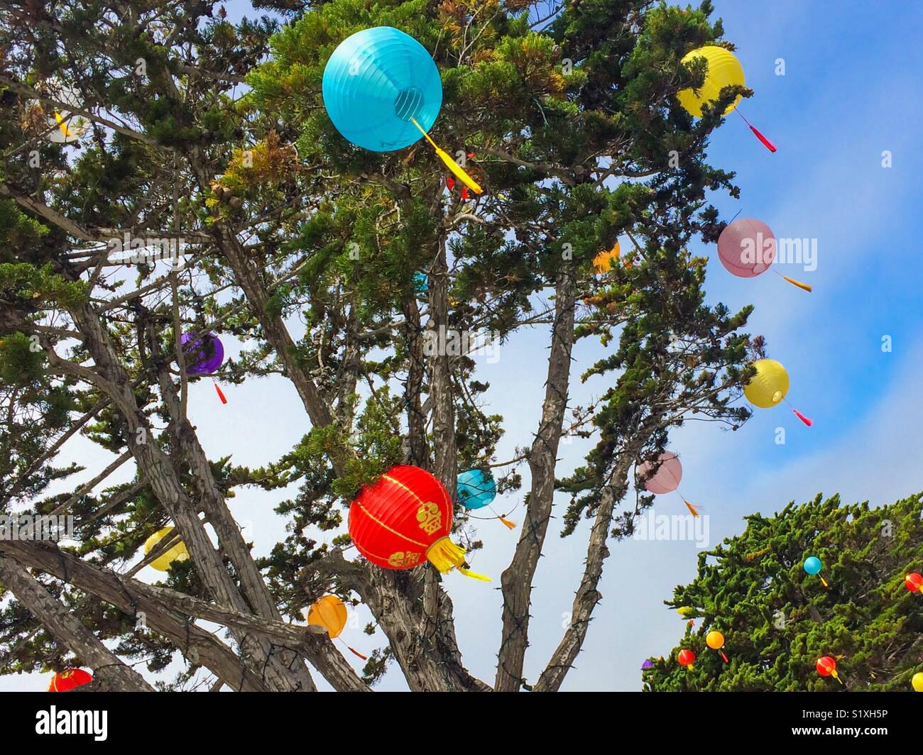Lanterns hanging tree hi-res stock photography and images - Alamy