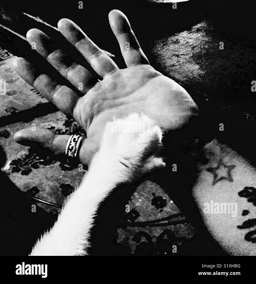 Friendship without borders hi-res stock photography and images - Alamy