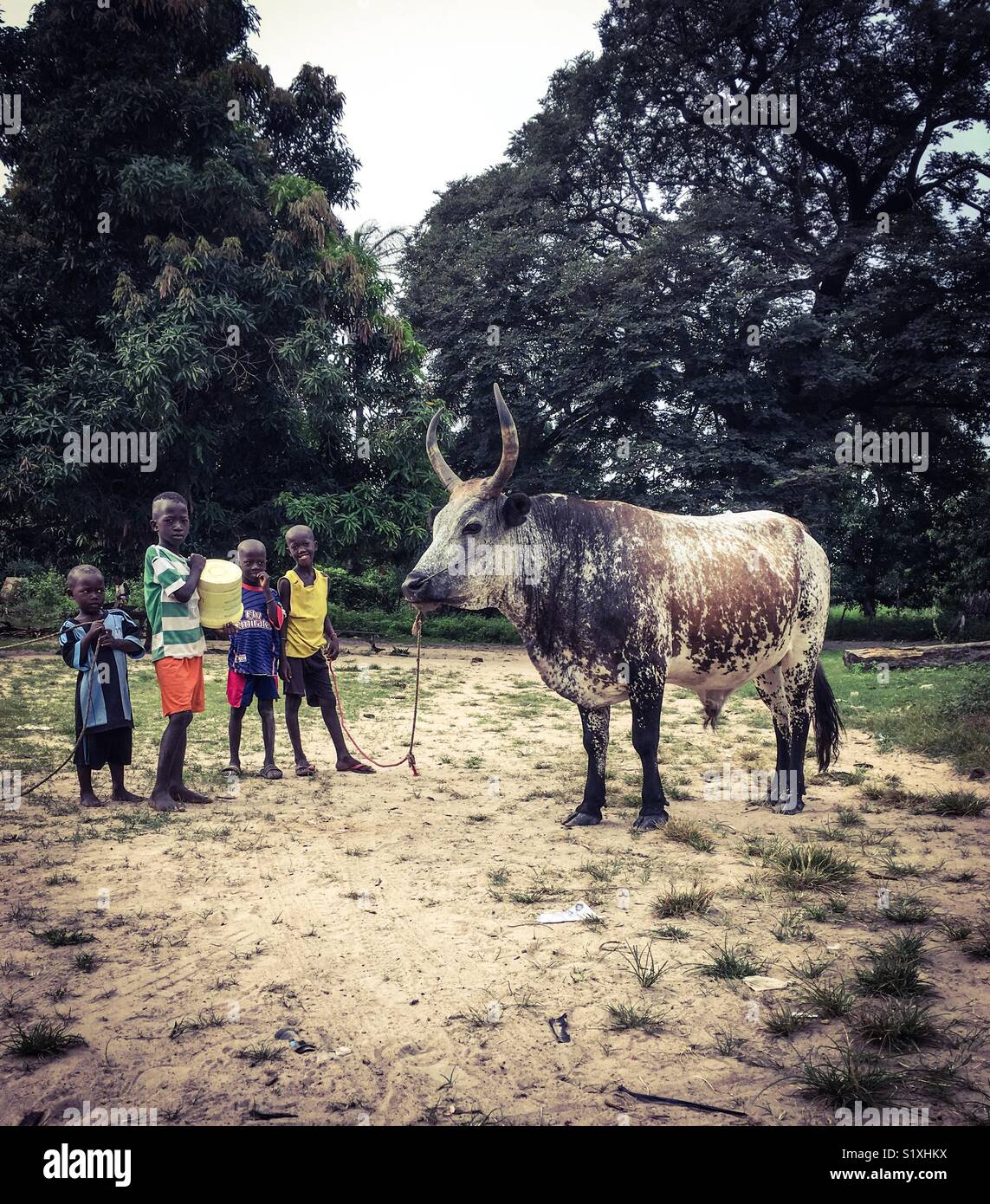 Casamance senegal hi-res stock photography and images - Alamy