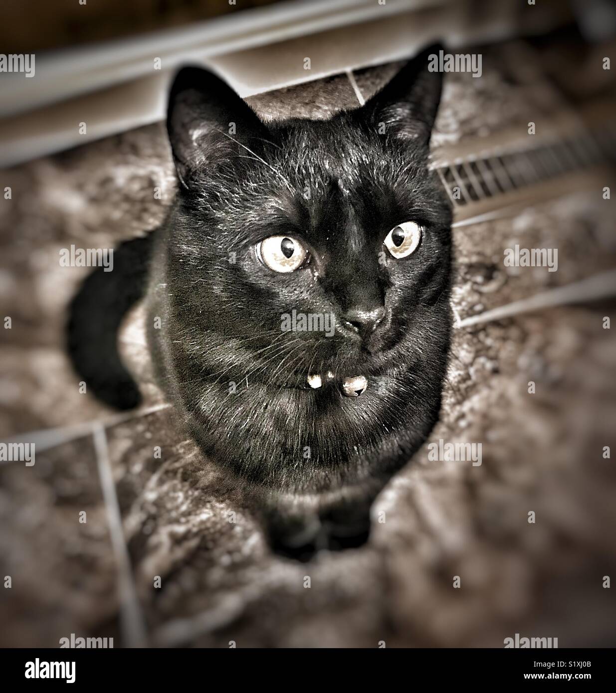 Catatonic hi-res stock photography and images - Alamy