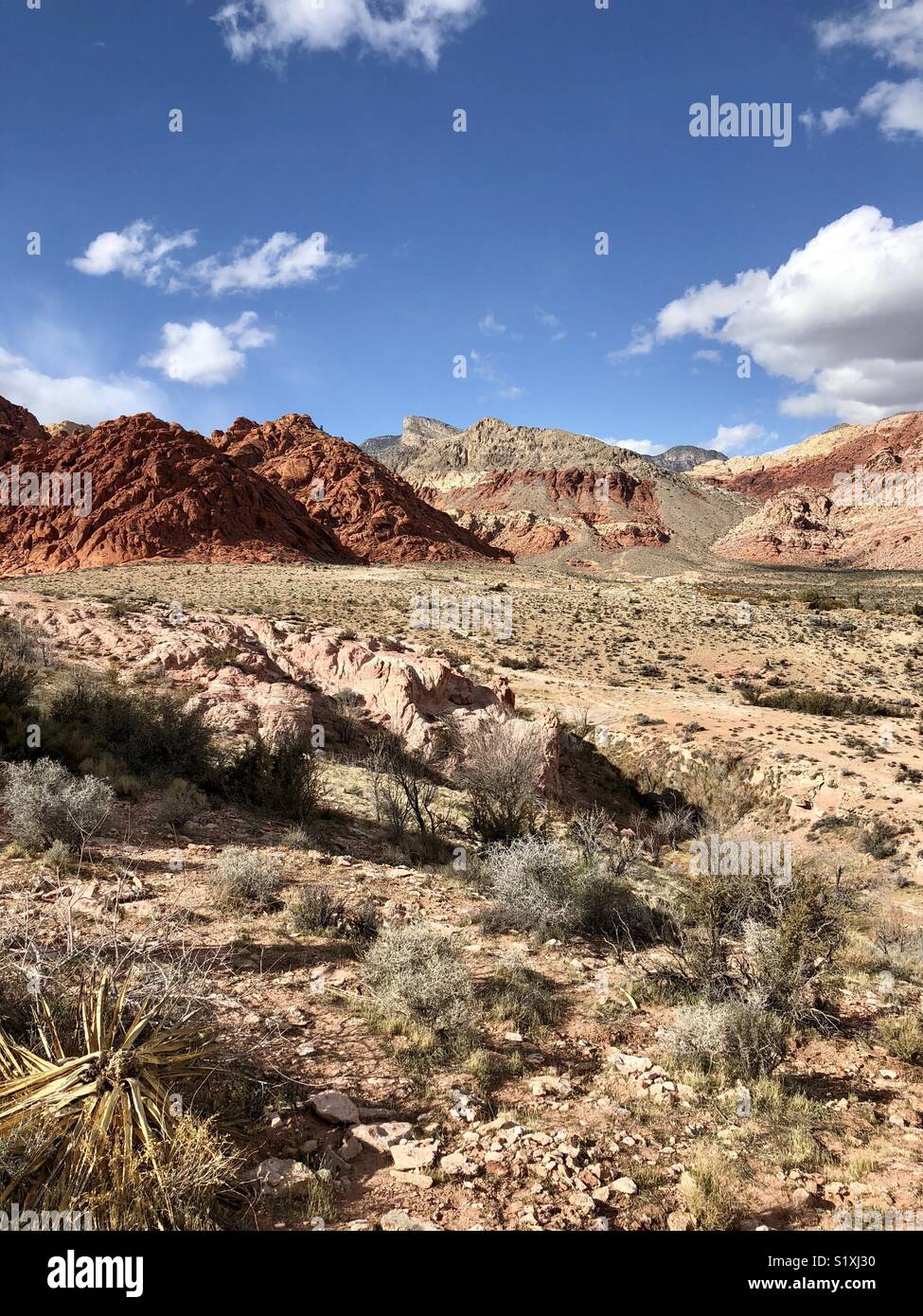 Calico basin hi-res stock photography and images - Alamy