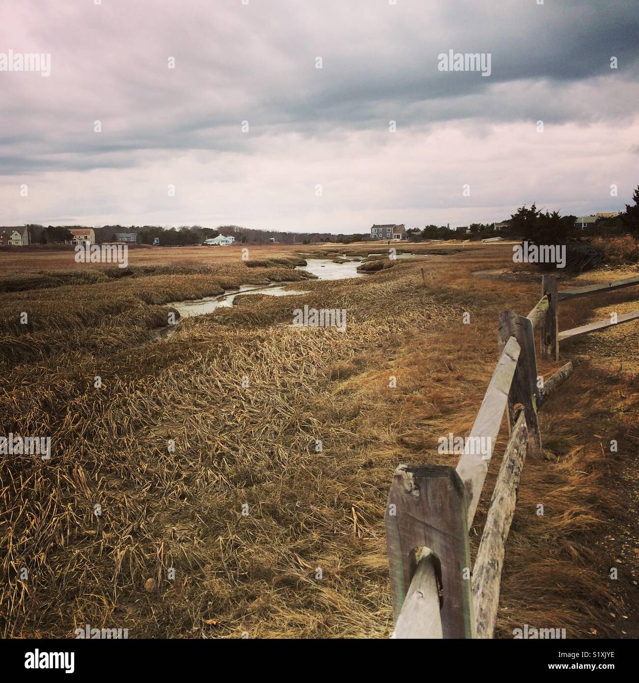 East Sandwich, Cape Cod, Massachusetts wetlands in winter Stock Photo ...
