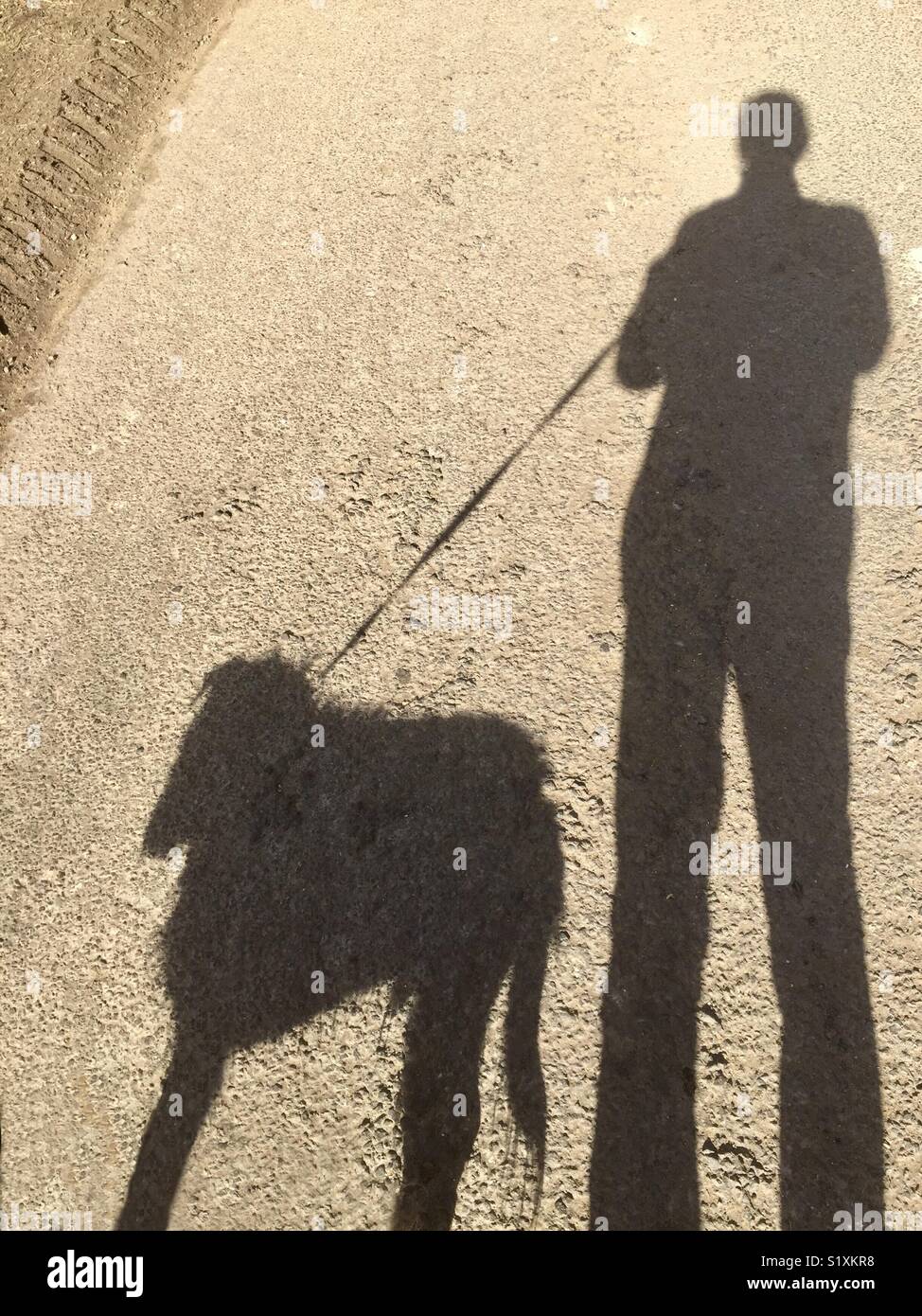 Man shadows hi-res stock photography and images - Alamy