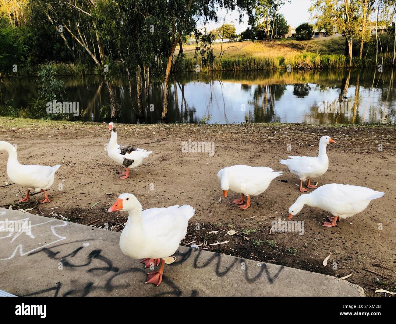 Mehi River High Resolution Stock Photography and Images - Alamy