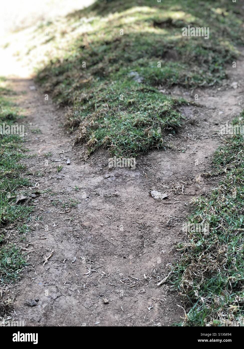 Trodden Paths High Resolution Stock Photography and Images - Alamy