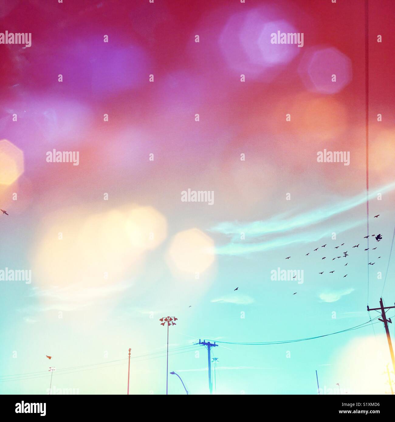 The birds heading to south at a distance Stock Photo - Alamy