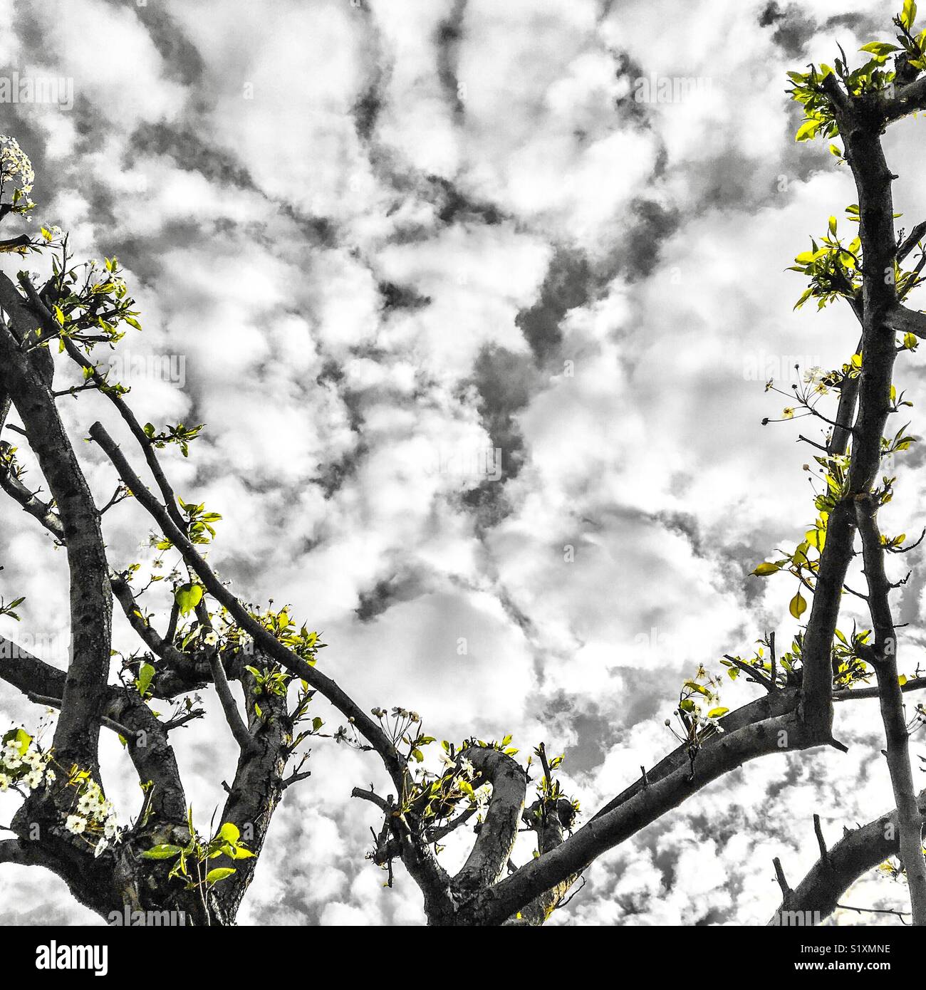 Back to the earth hi-res stock photography and images - Alamy