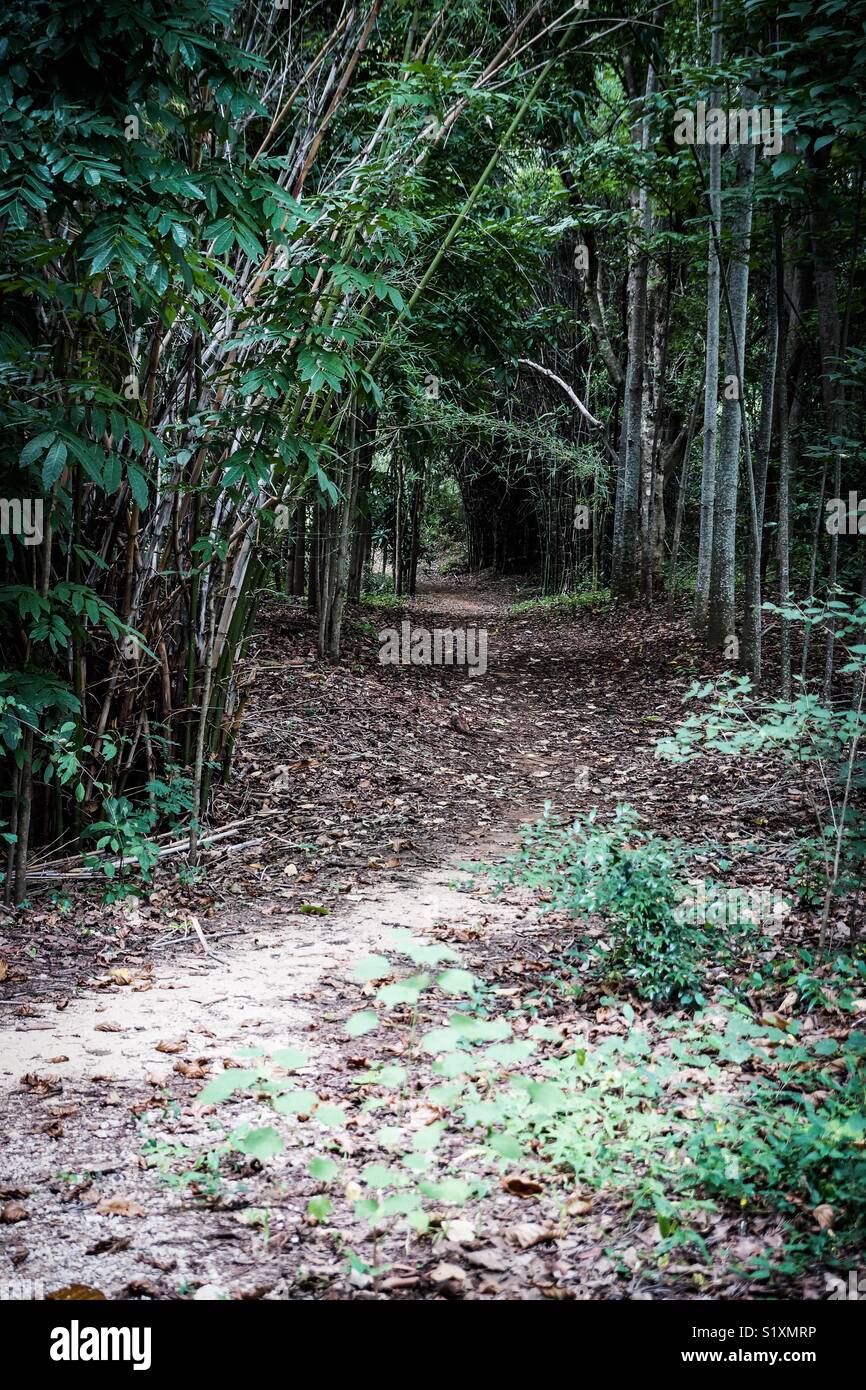 Tough path hi-res stock photography and images - Alamy