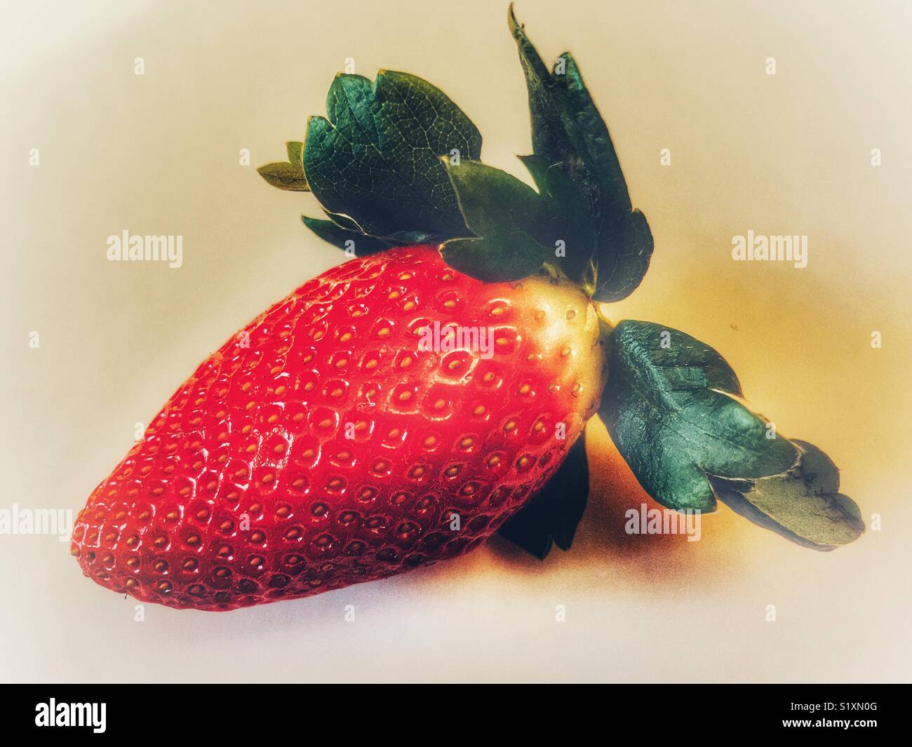 Close up ripe freshly hi-res stock photography and images - Alamy