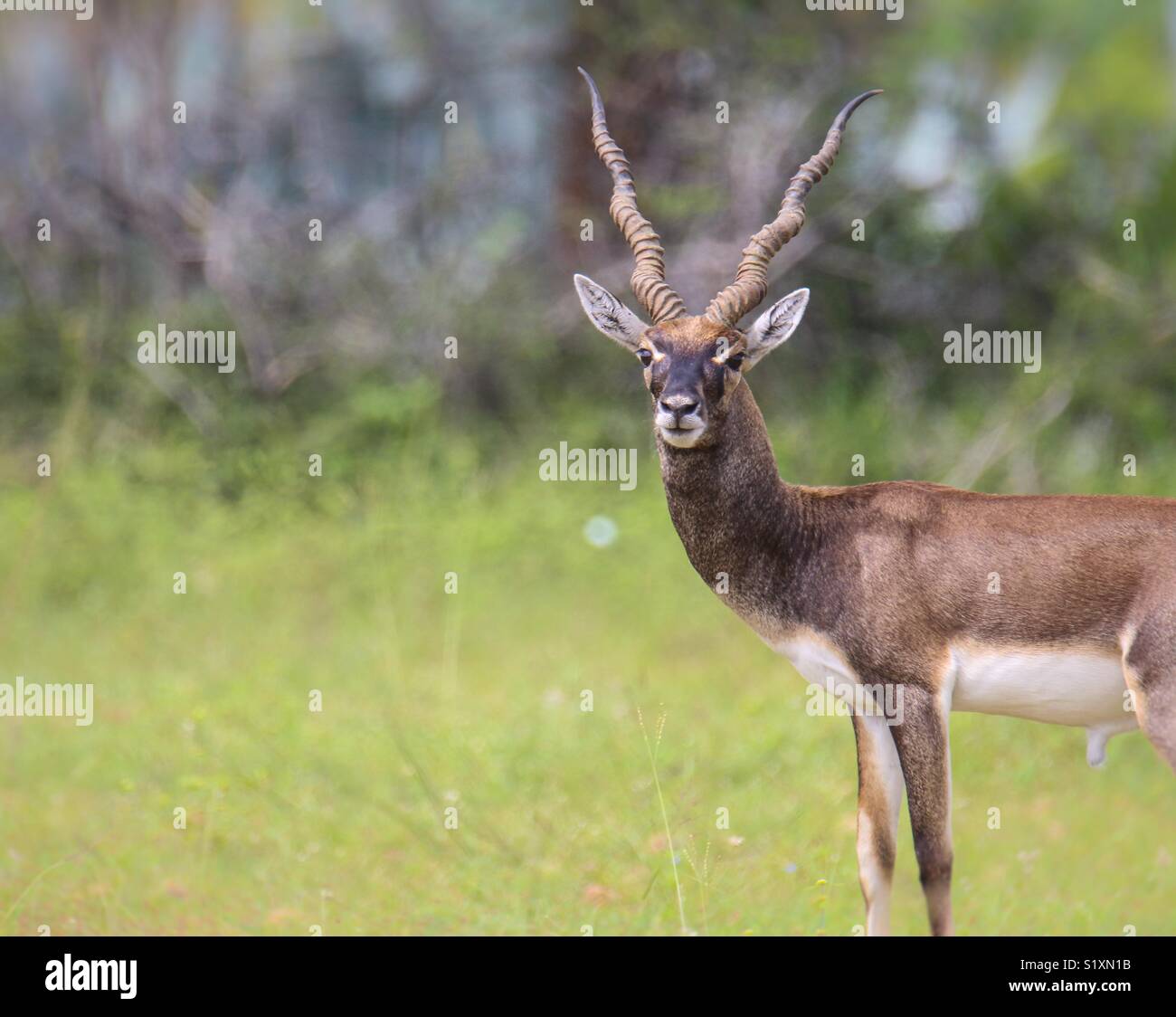 Wait for me Stock Photo - Alamy