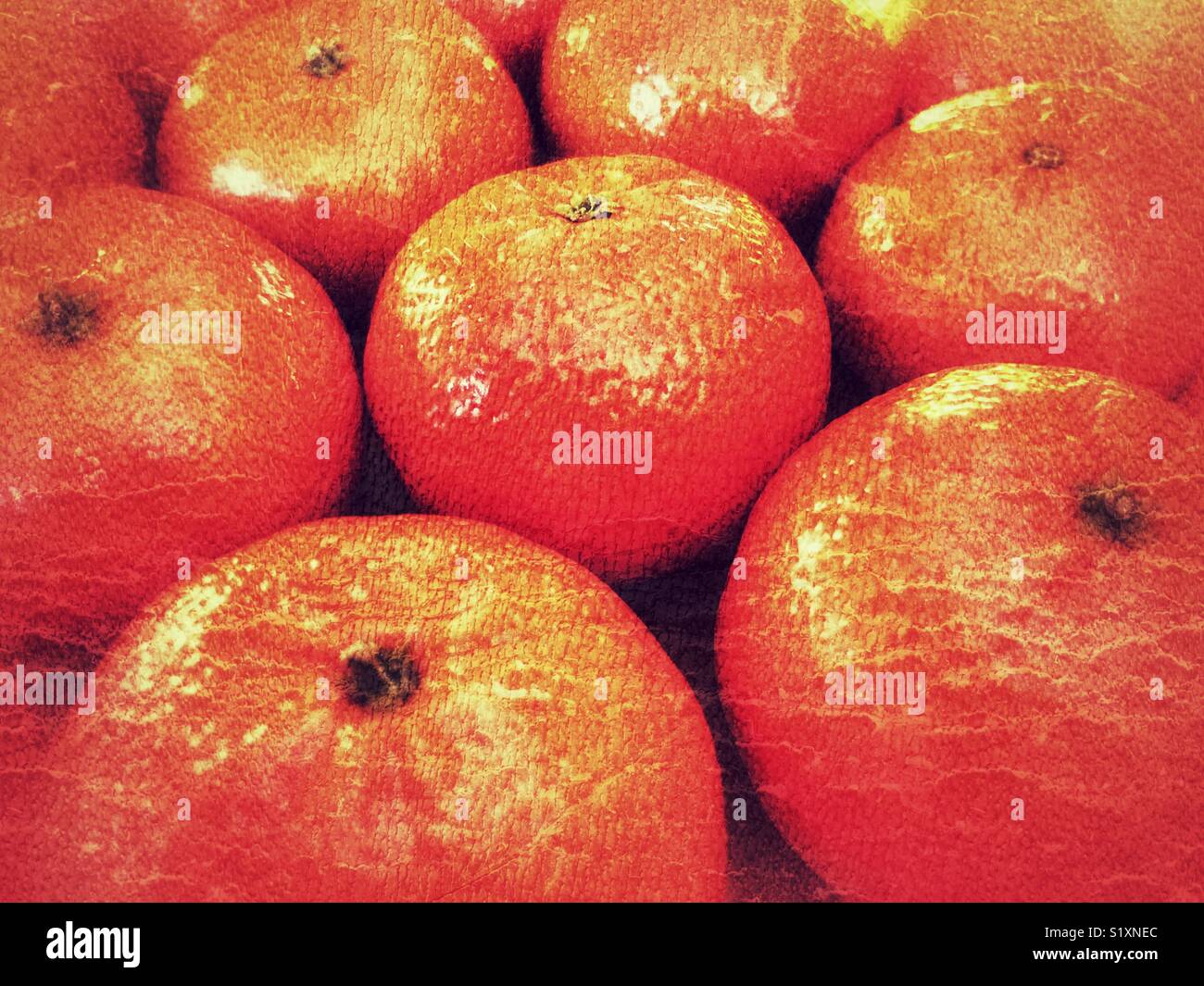 Oranges, full frame Stock Photo - Alamy