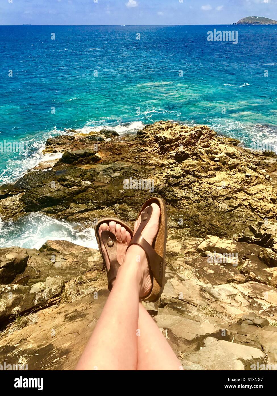 Thomas teal hi-res stock photography and images - Alamy