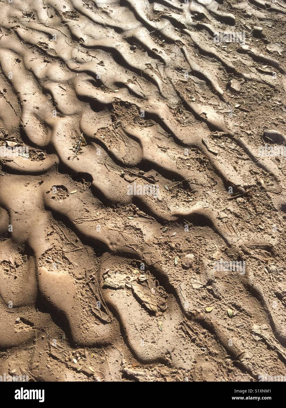 Mud texture hi-res stock photography and images - Alamy