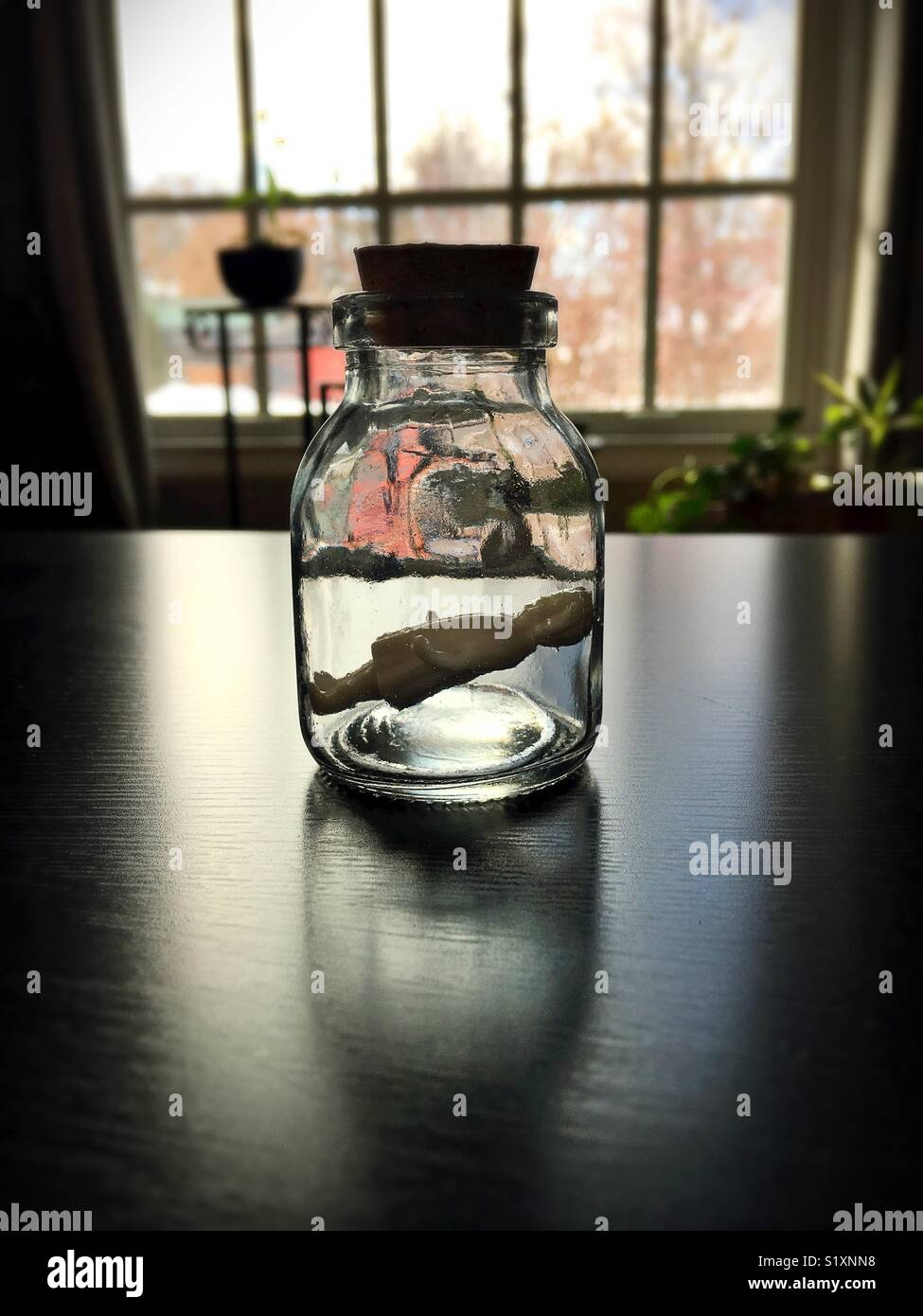 Trapped inside bottle hi-res stock photography and images - Alamy