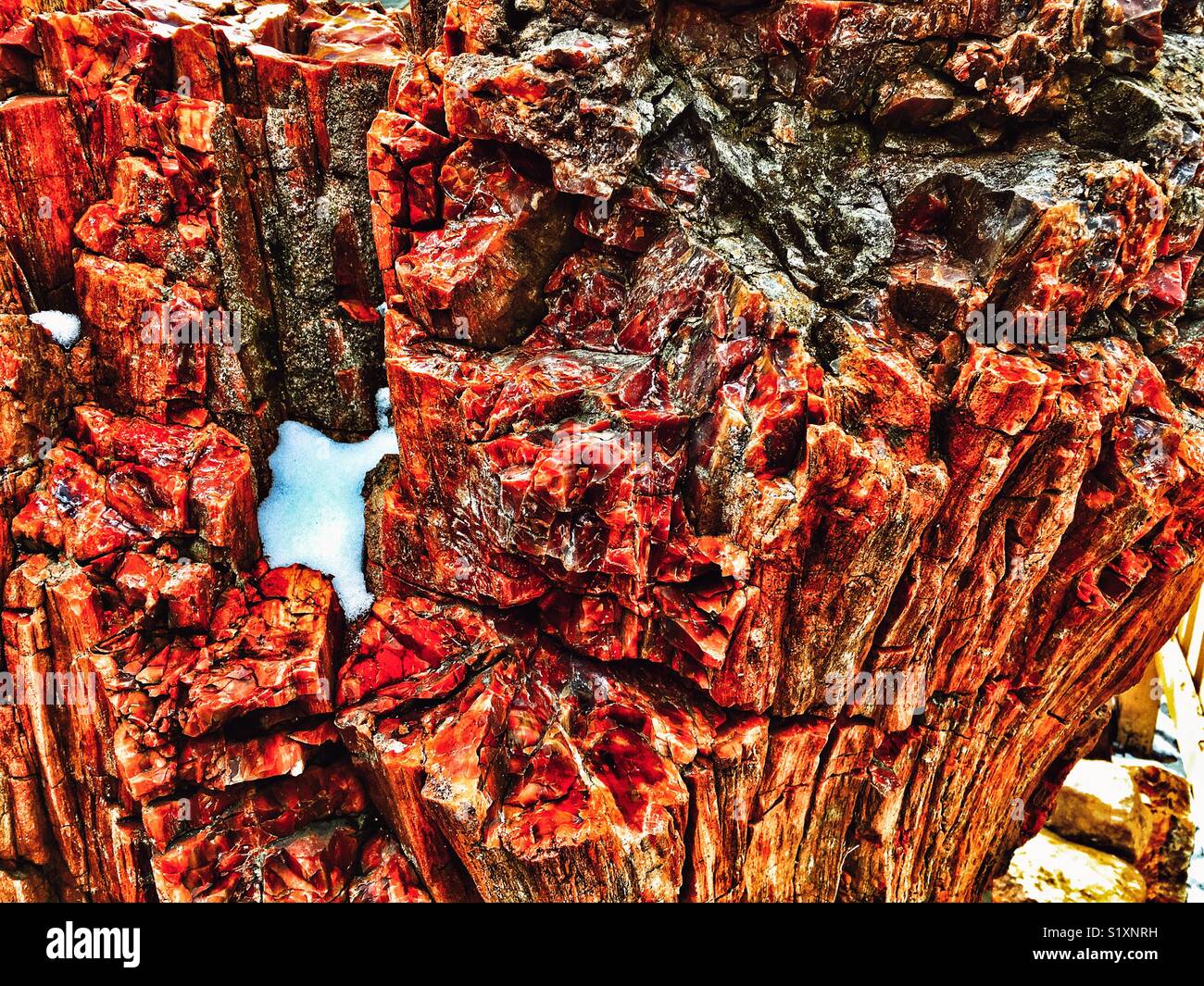 Petrified giant hi-res stock photography and images - Alamy