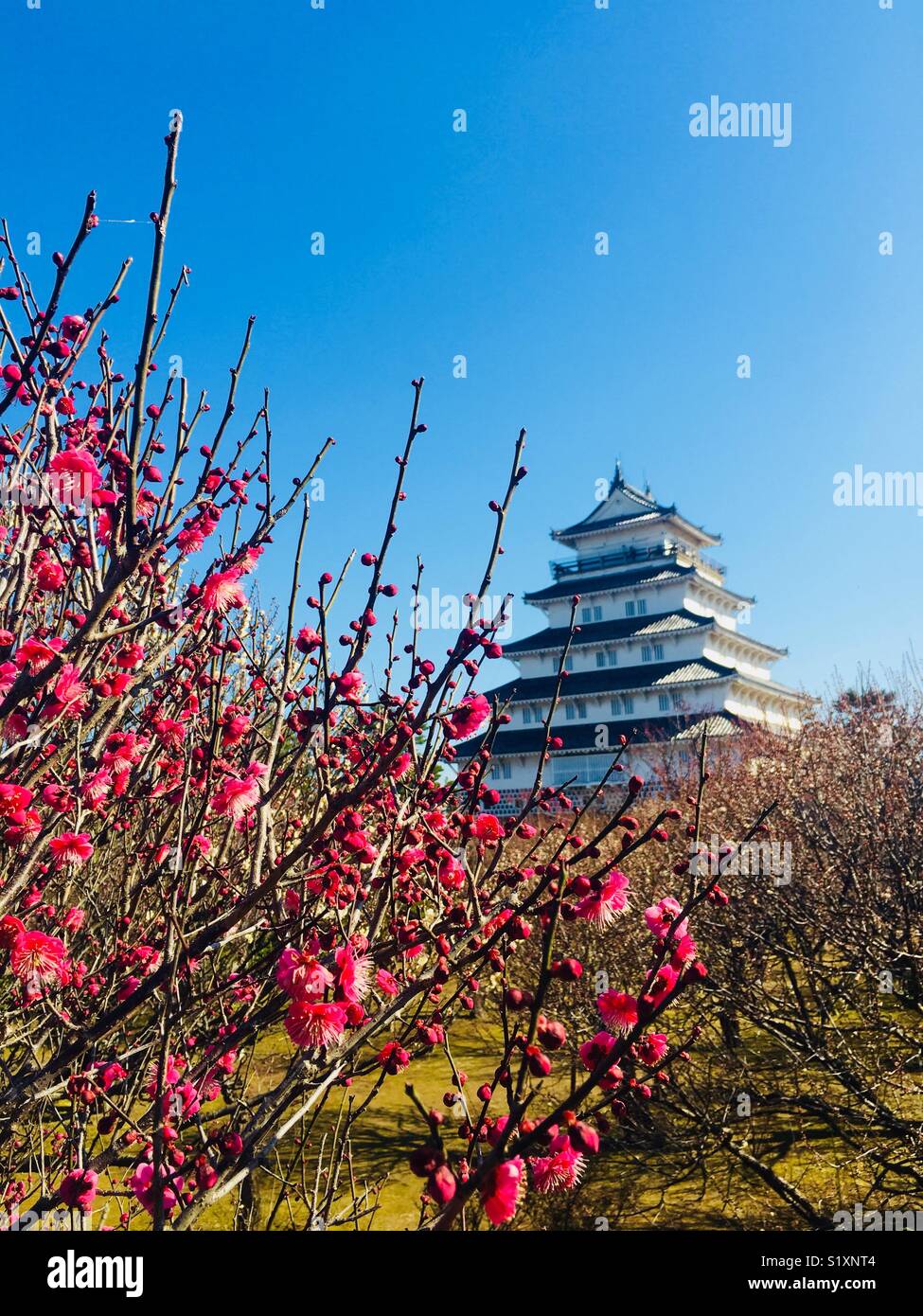 Shimabara castle in Kyushu, Japan Stock Photo - Alamy