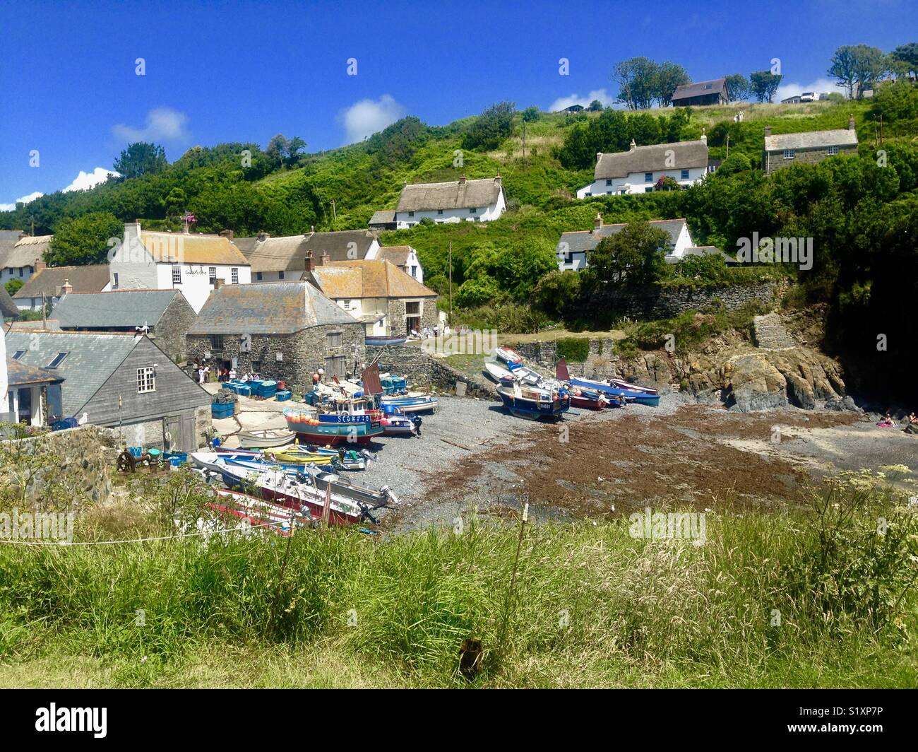 Cadgwith beach hi-res stock photography and images - Alamy