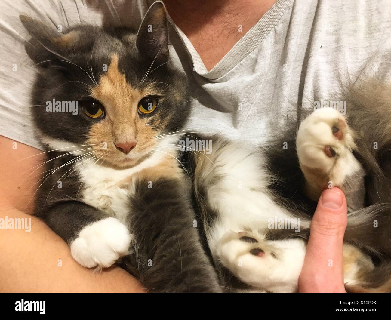 Cuddles hi-res stock photography and images - Alamy