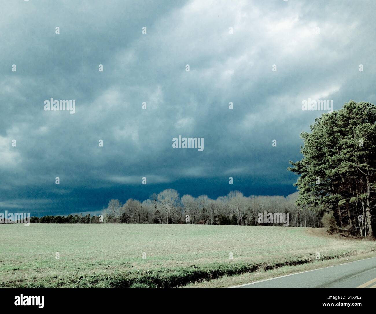 Overcast sky over pale treeline and field in North Carolina Stock Photo ...