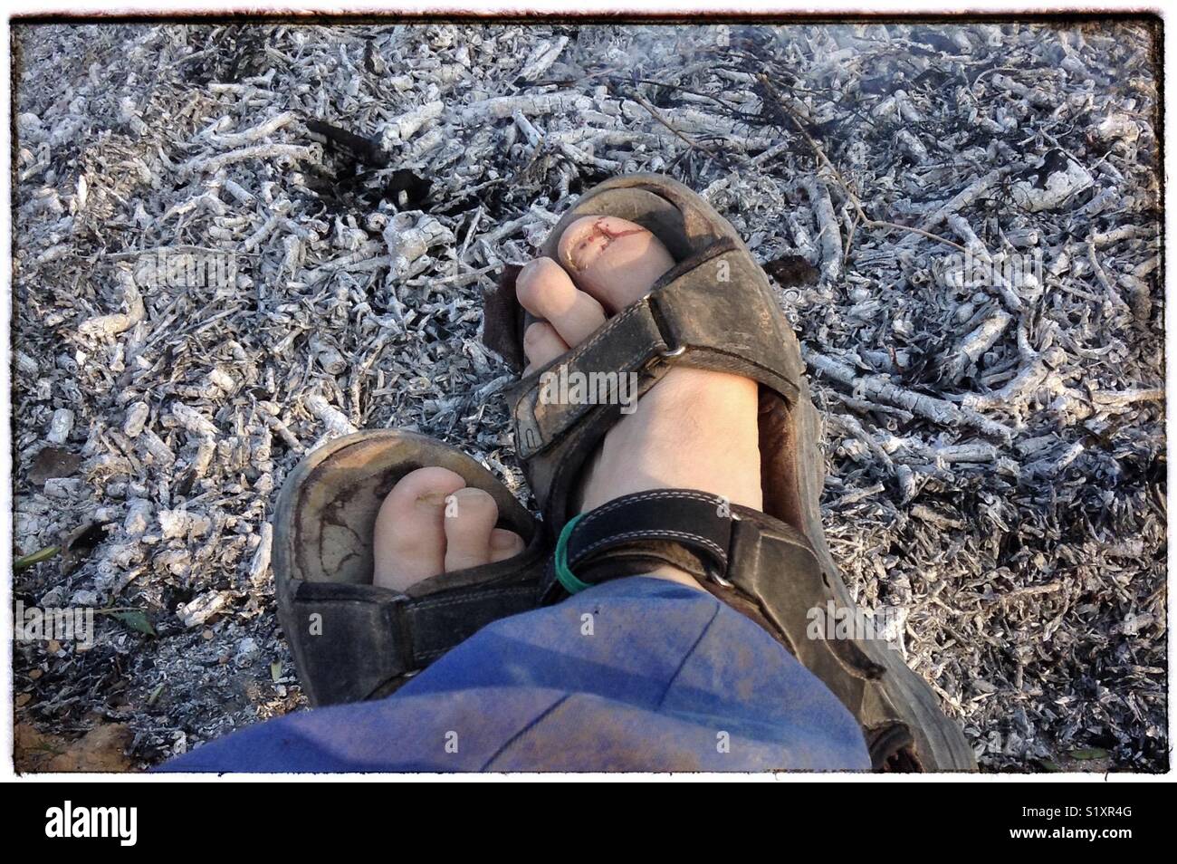 Warming toes by an olive pruning bonfire, Catalonia, Spain Stock Photo ...