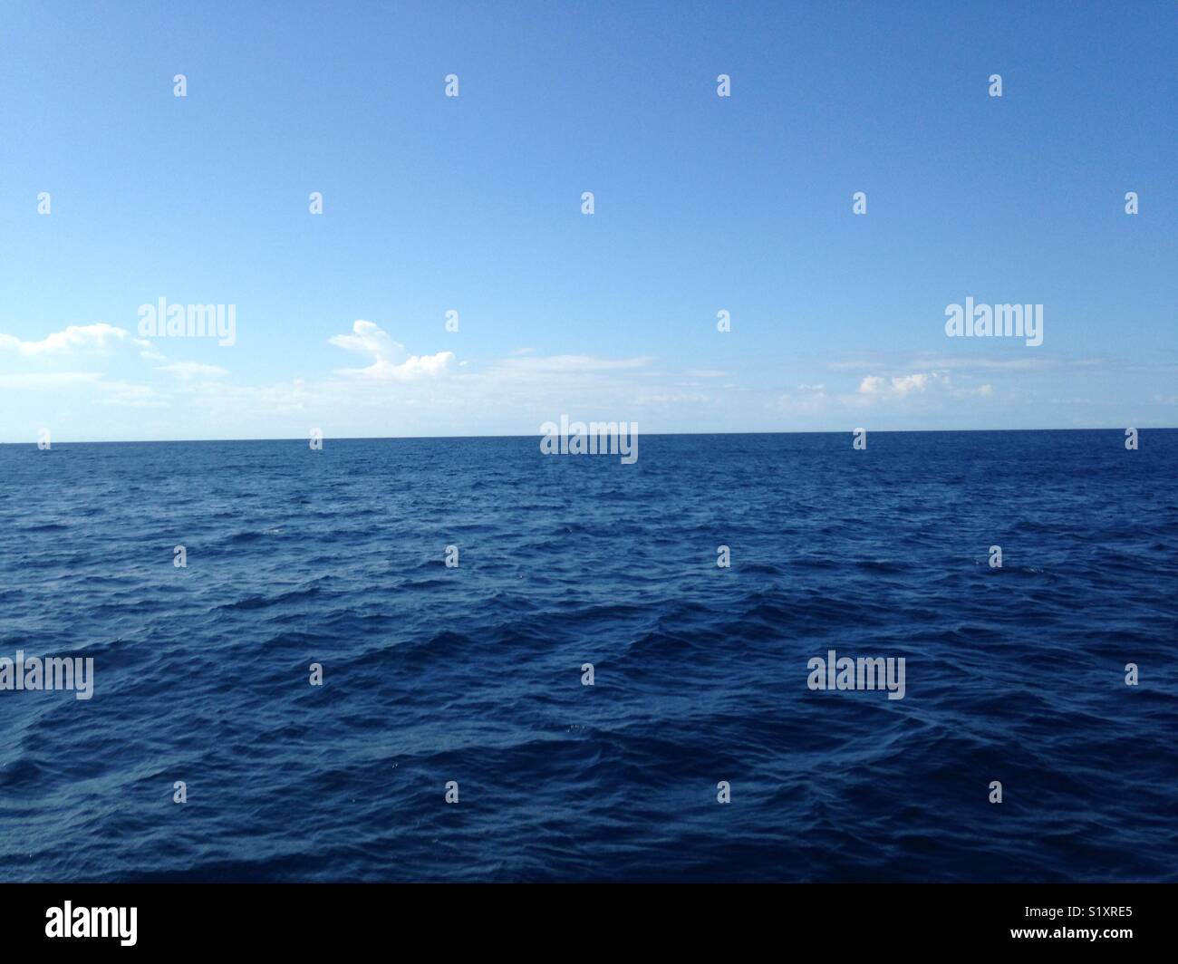 Free the wild hi-res stock photography and images - Alamy