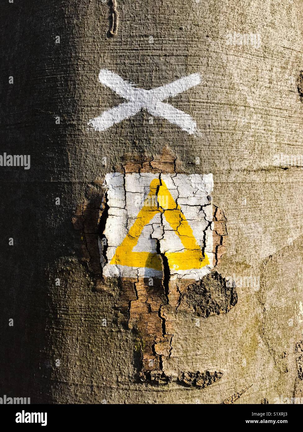 Signs on a tree hi-res stock photography and images - Alamy