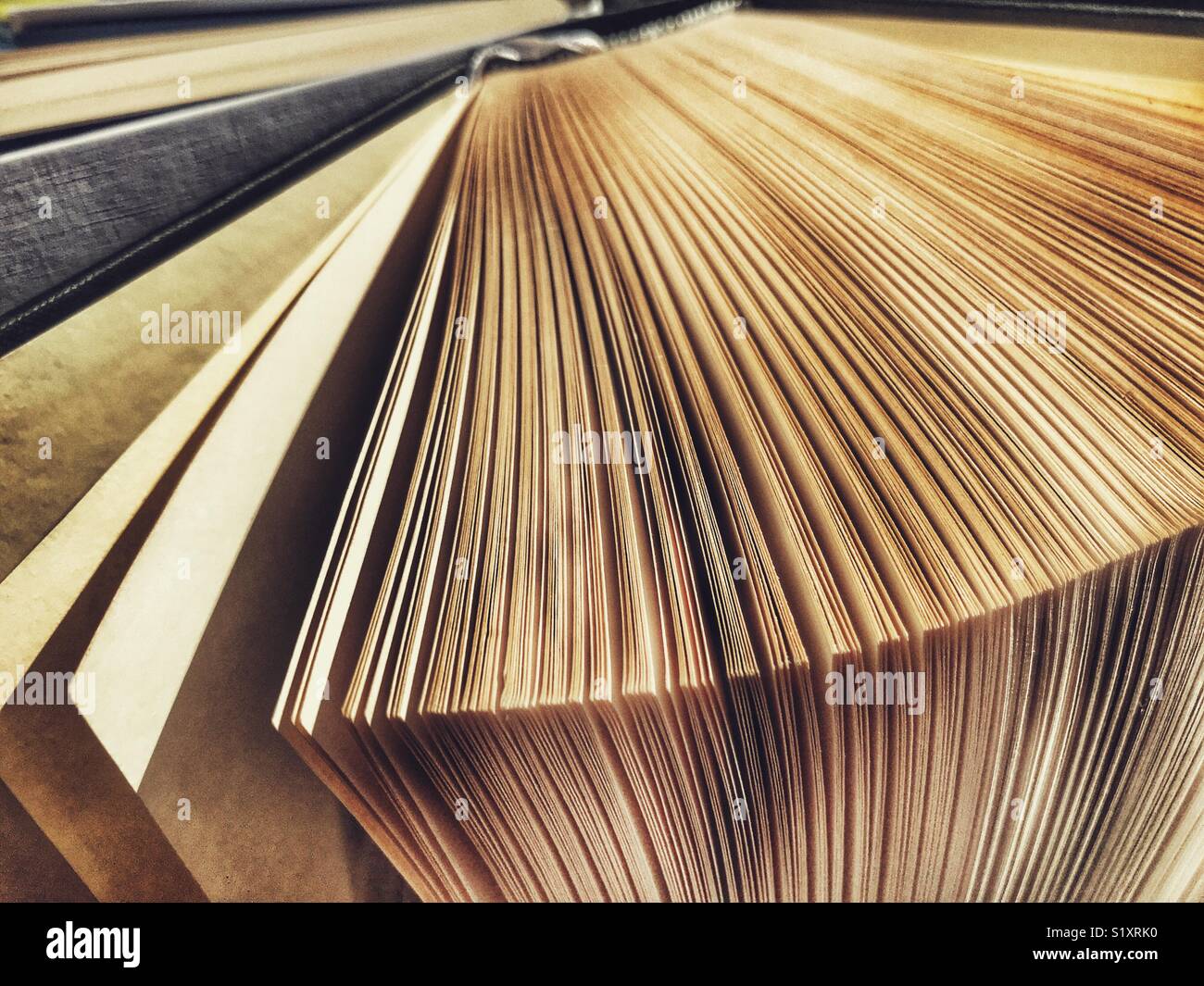 Fanned pages of a book hi-res stock photography and images - Alamy