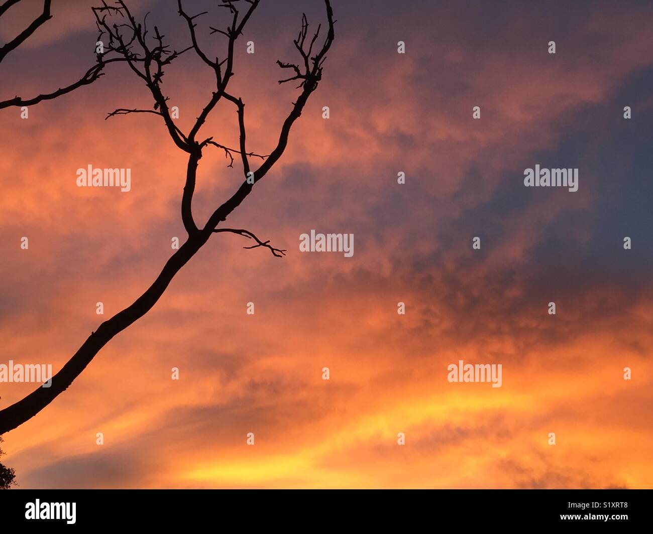 African sunset sky hi-res stock photography and images - Alamy