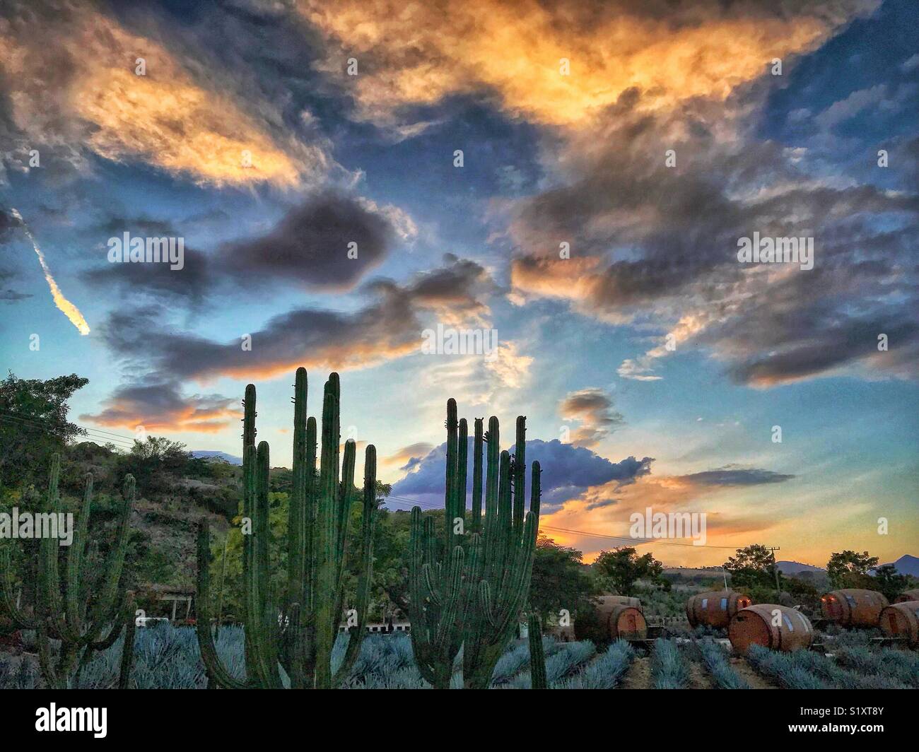 Tequila Sunset High Resolution Stock Photography and Images - Alamy