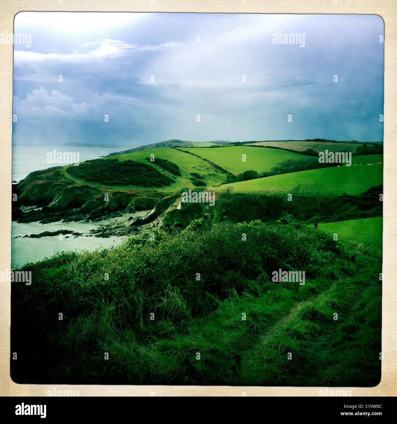 Gribbin head hi-res stock photography and images - Alamy