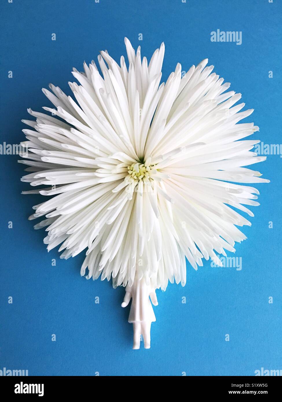 Conceptual hi-res stock photography and images - Alamy