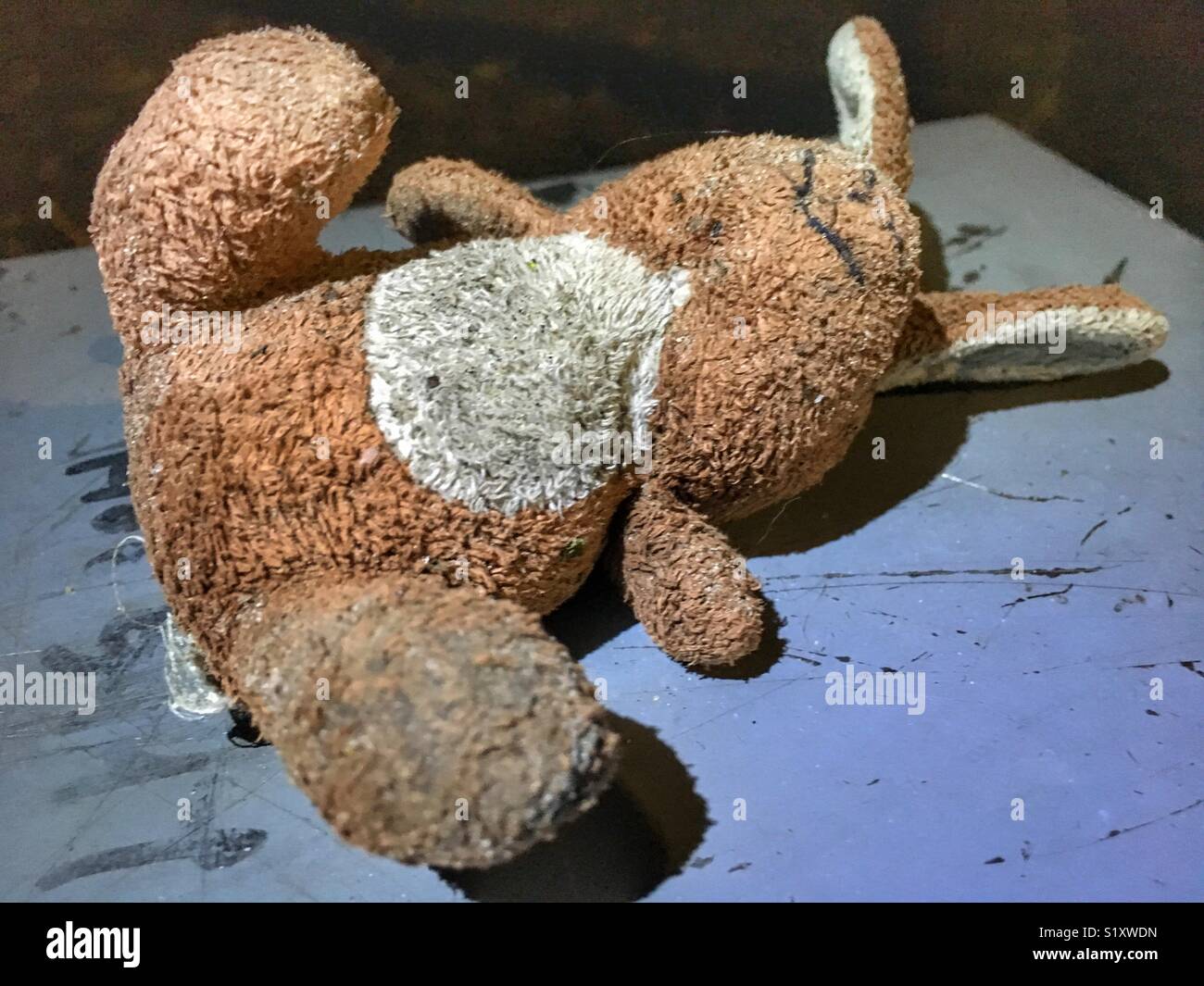 Sad rabbit hi-res stock photography and images - Alamy