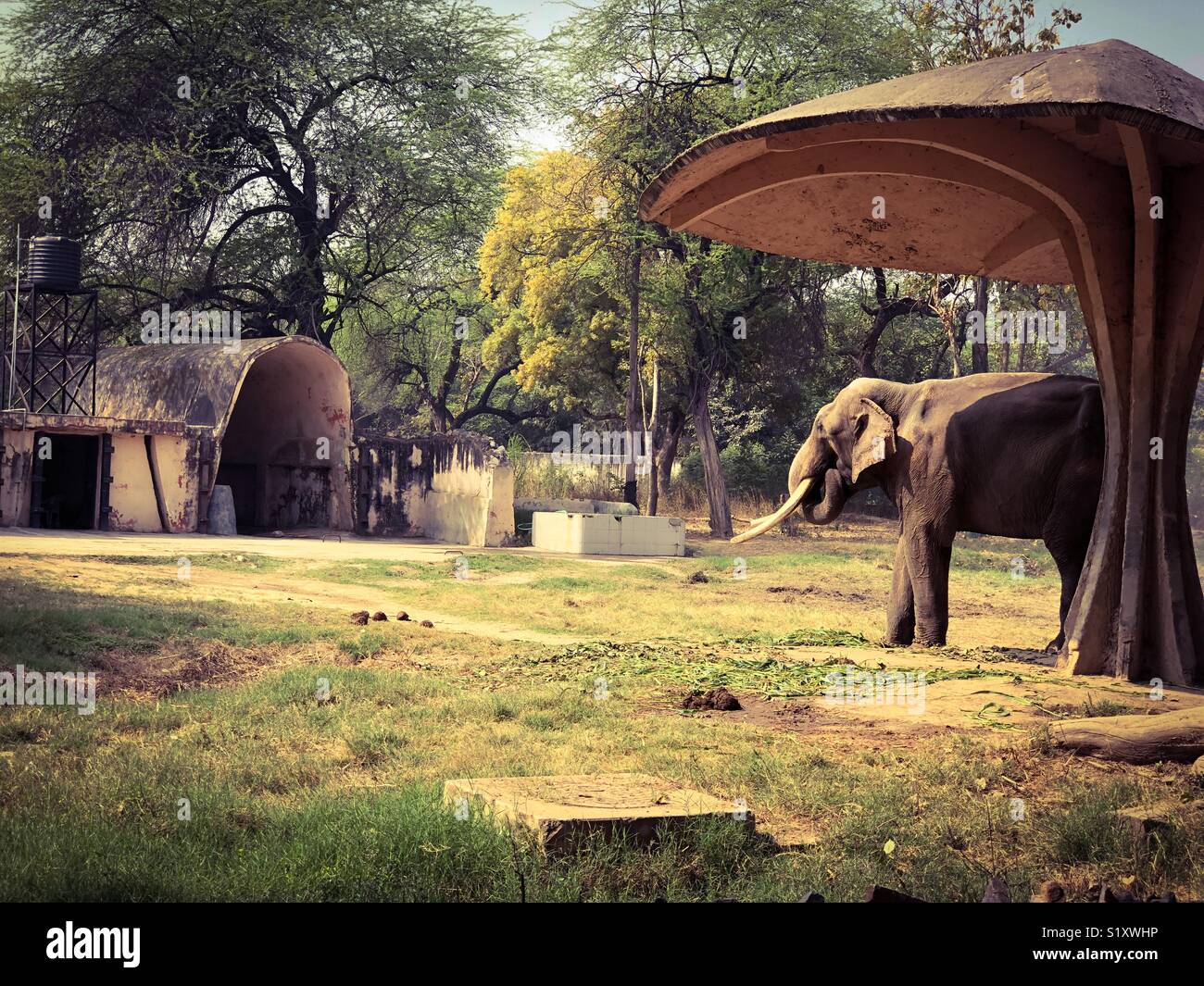 National zoological park new delhi hi-res stock photography and images ...