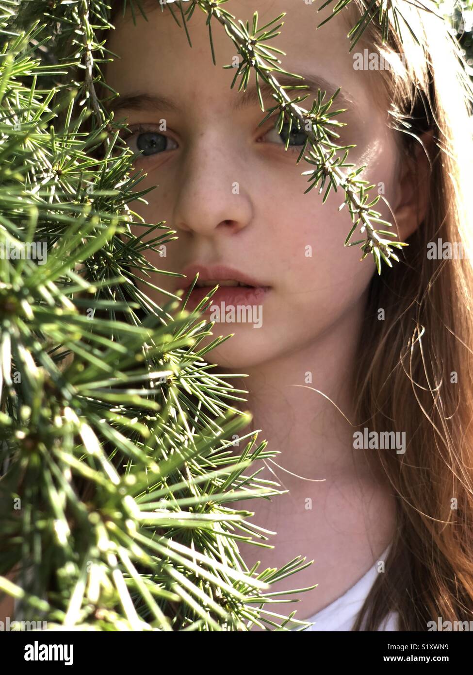 Hidden Photography High Resolution Stock Photography and Images - Alamy