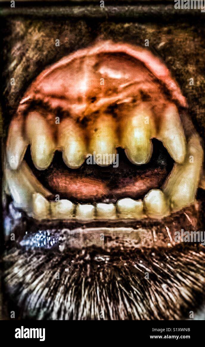 German shepherd teeth hi-res stock photography and images - Alamy