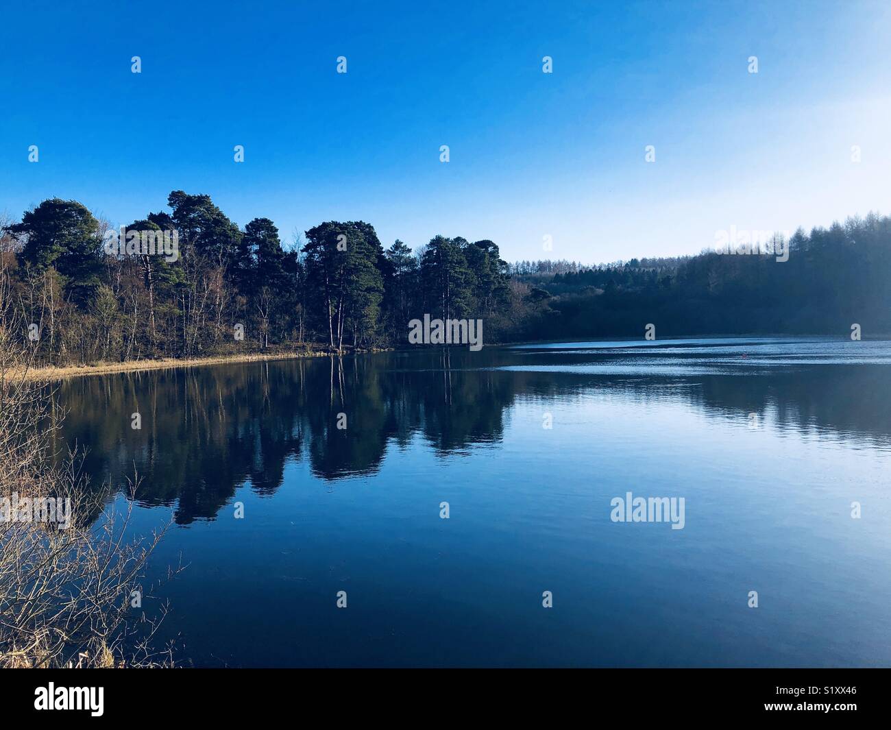 Lakeside view hi-res stock photography and images - Alamy