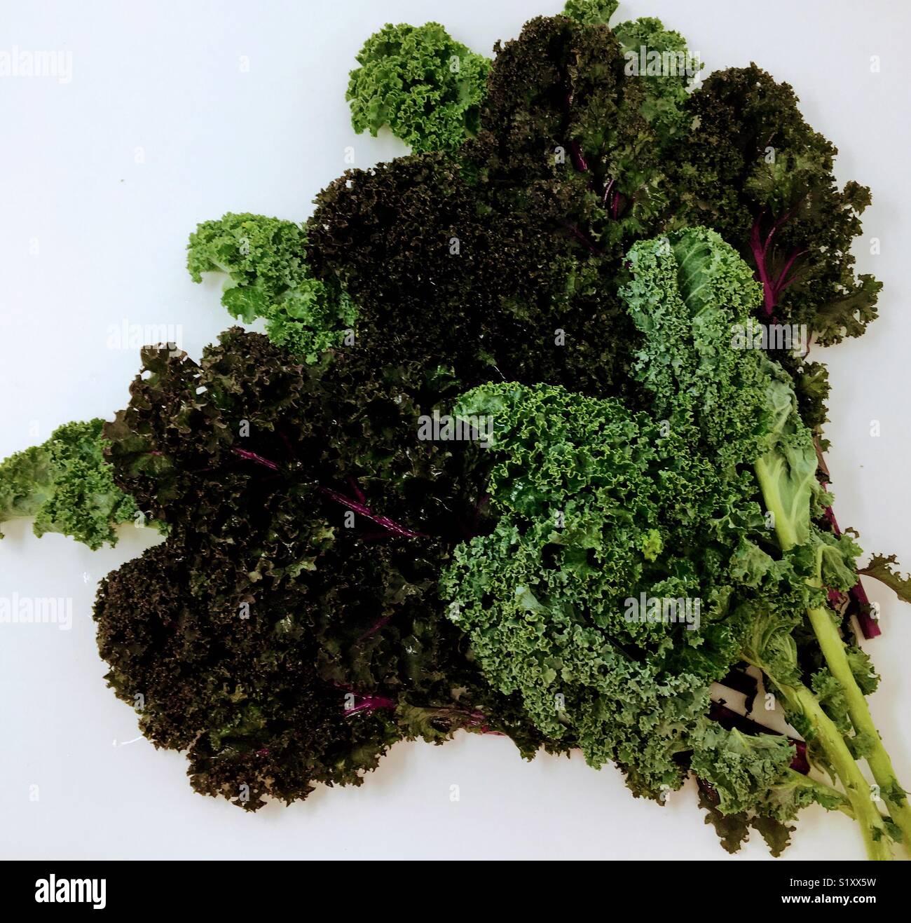Purple kale hi-res stock photography and images - Alamy