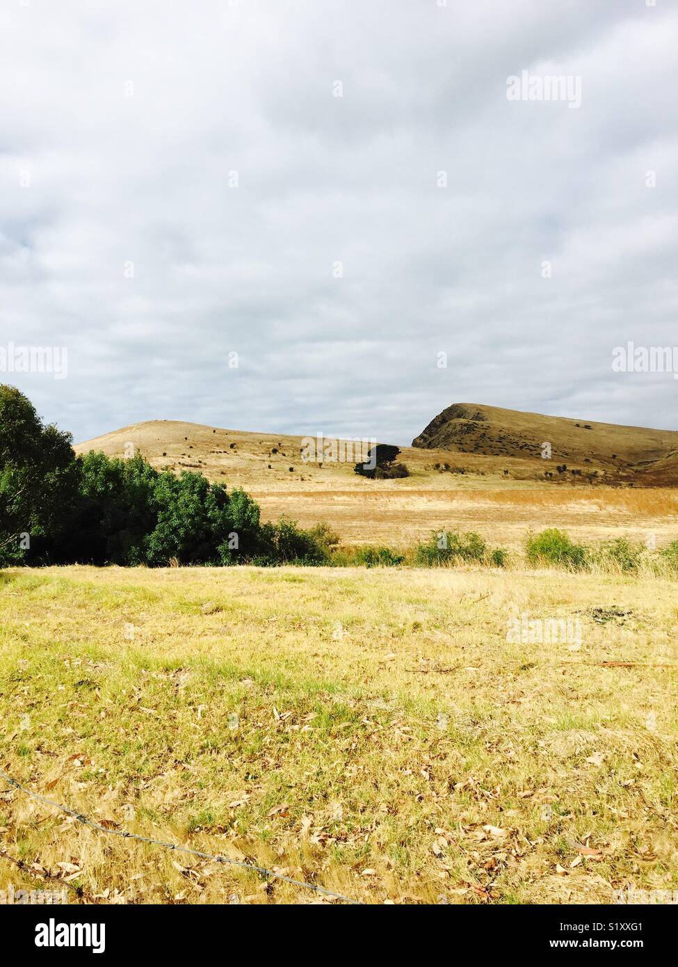 Country field hi-res stock photography and images - Alamy