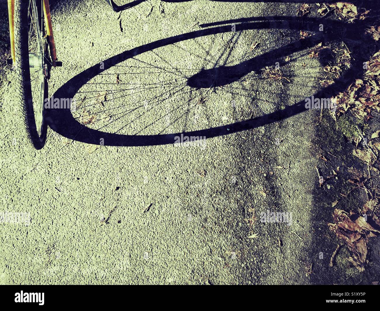 Long winter shadow cast by a bicycle wheel Stock Photo - Alamy